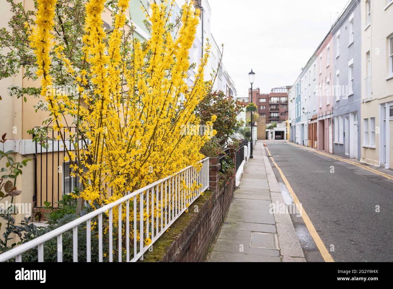 Cripps court hi-res stock photography and images - Alamy