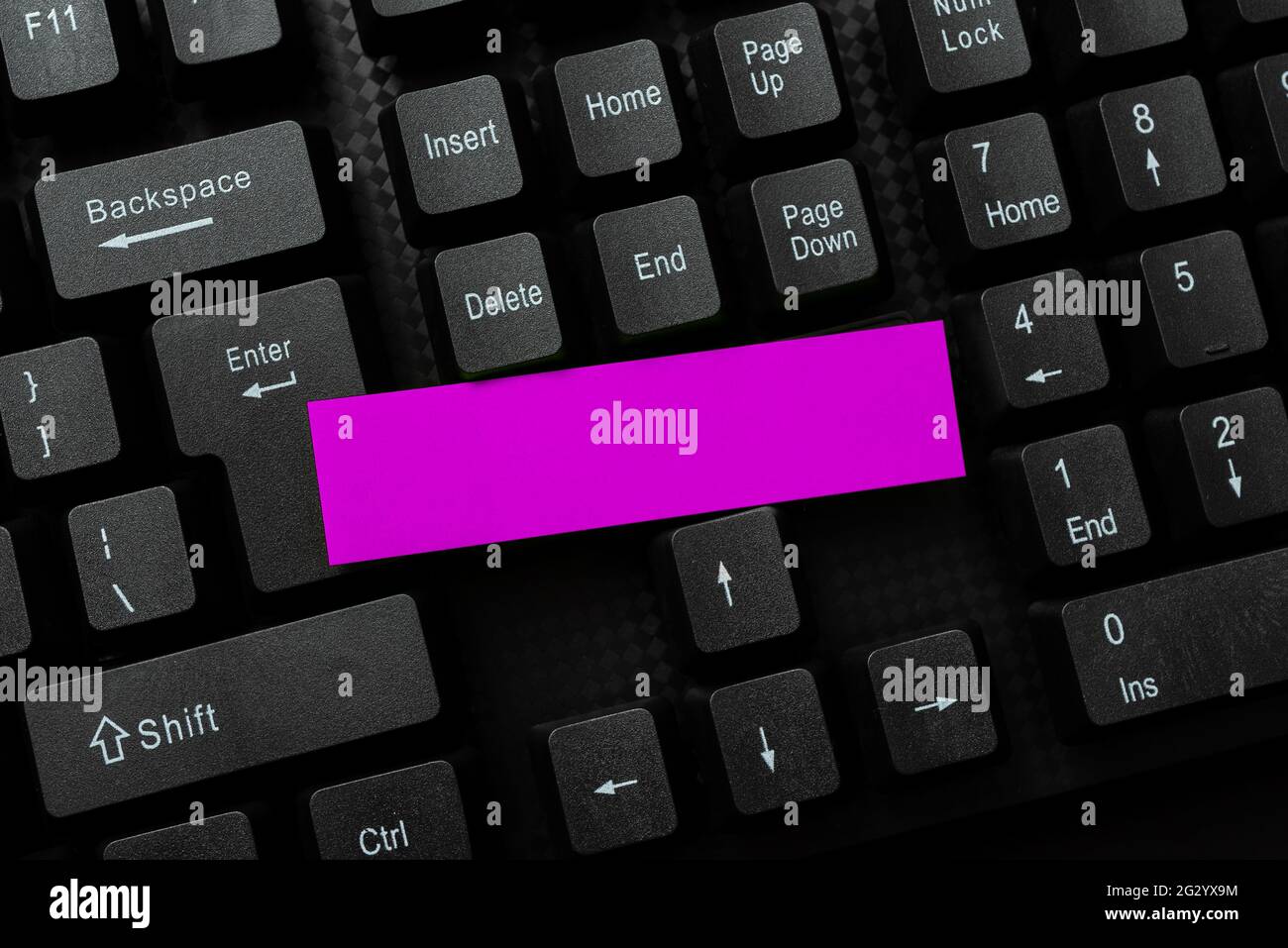 Filling Up Online Registration Forms, Gathering And Editing Internet ...