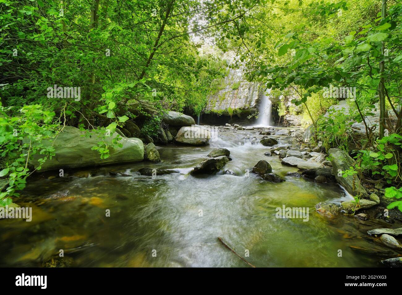 A scenery of a waterfall in the woods Stock Photo - Alamy