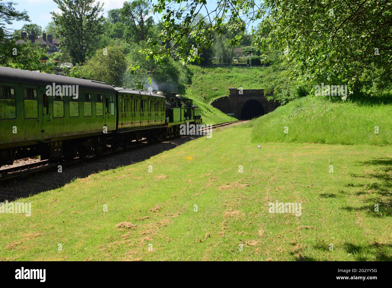 A double header of two steam locomotives on a Heritage railway in the ...