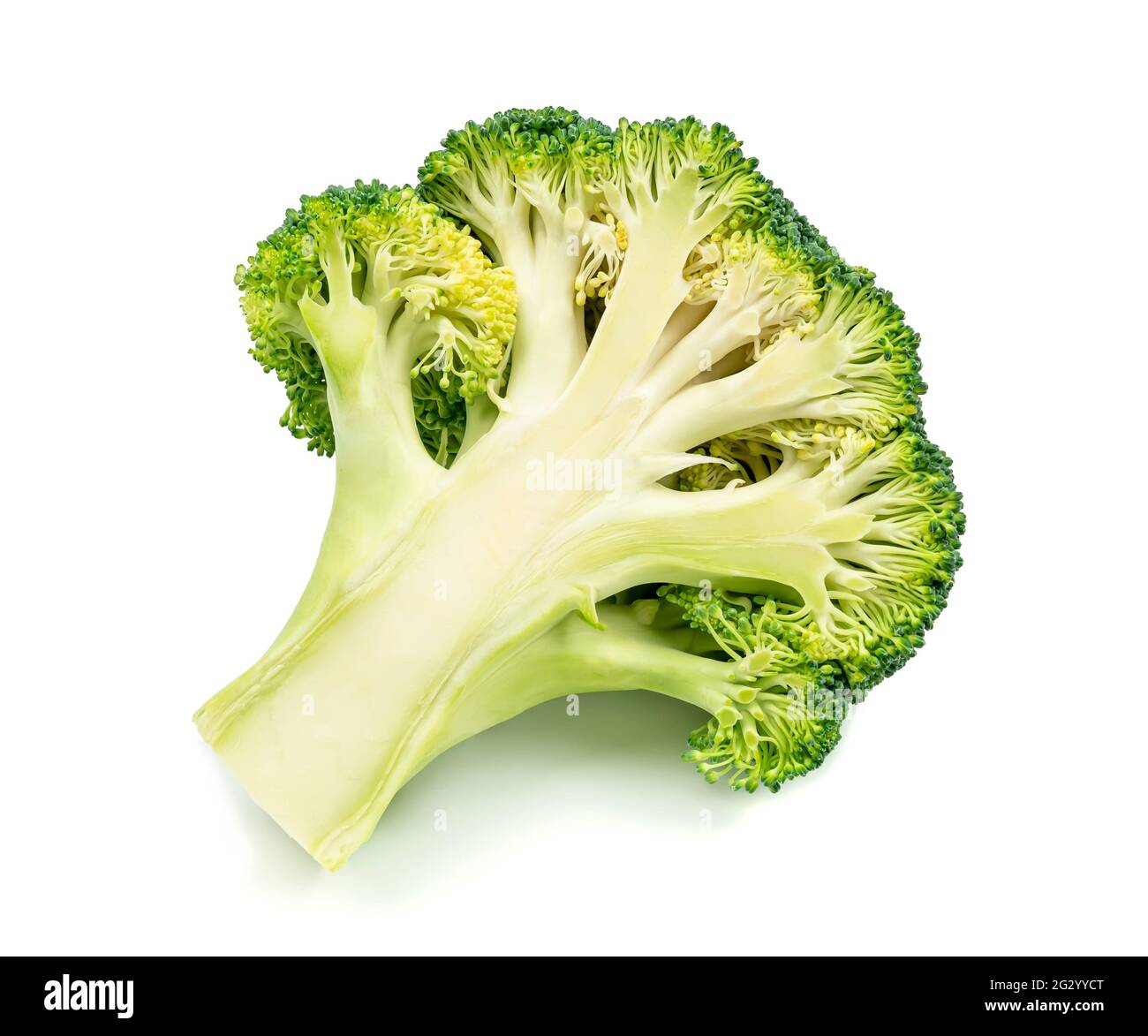 fresh green sliced broccoli isolated on white background Stock Photo ...