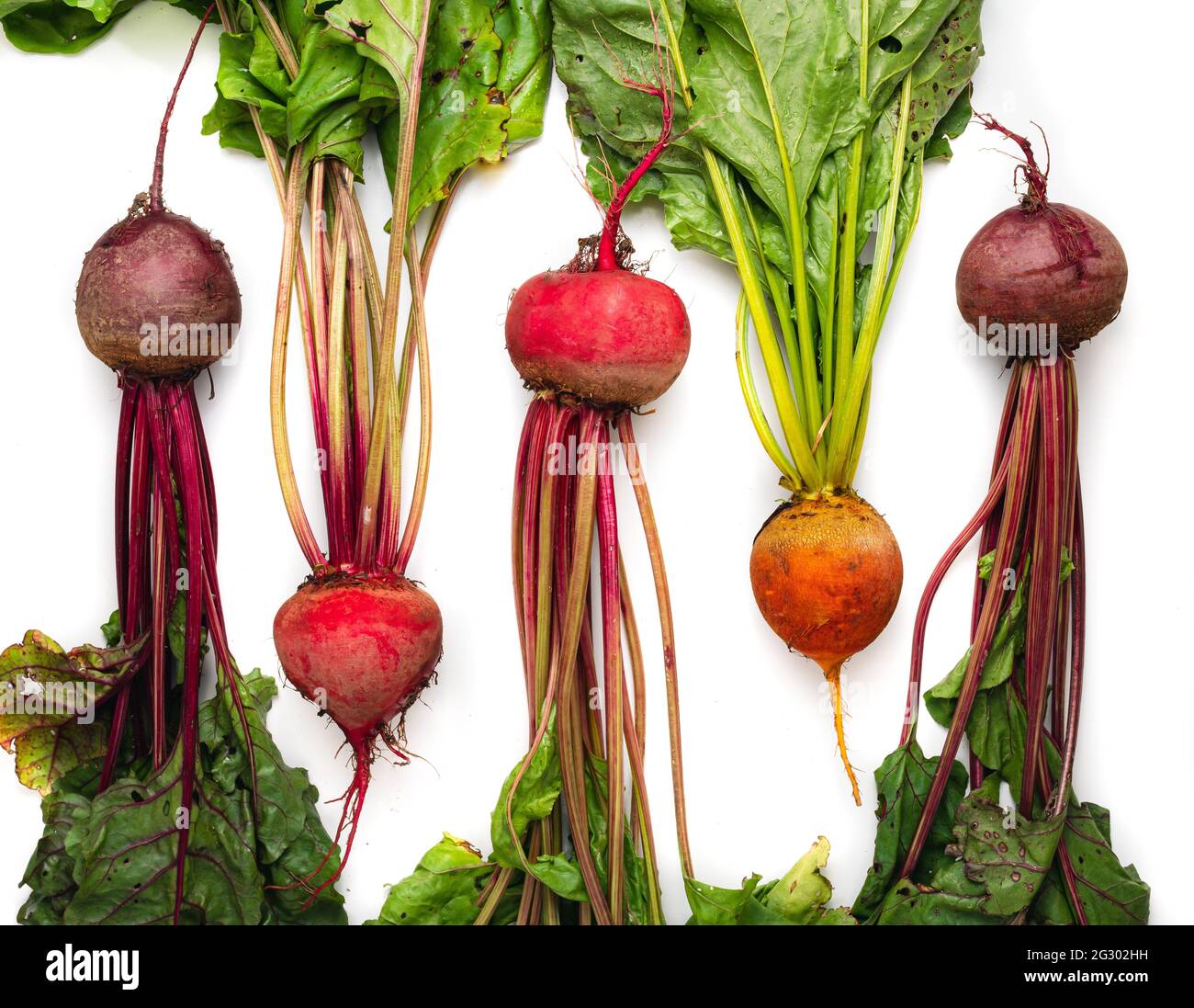 Beet roots of different colors on a white table Stock Photo - Alamy