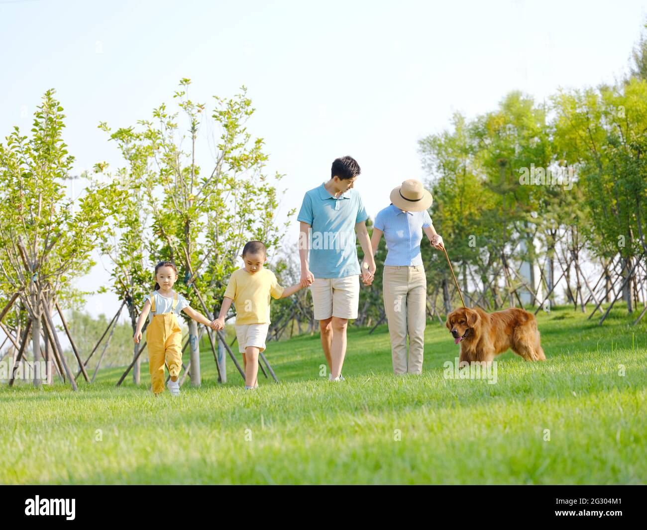 Happy family of four walking dogs in the park high quality photo Stock ...
