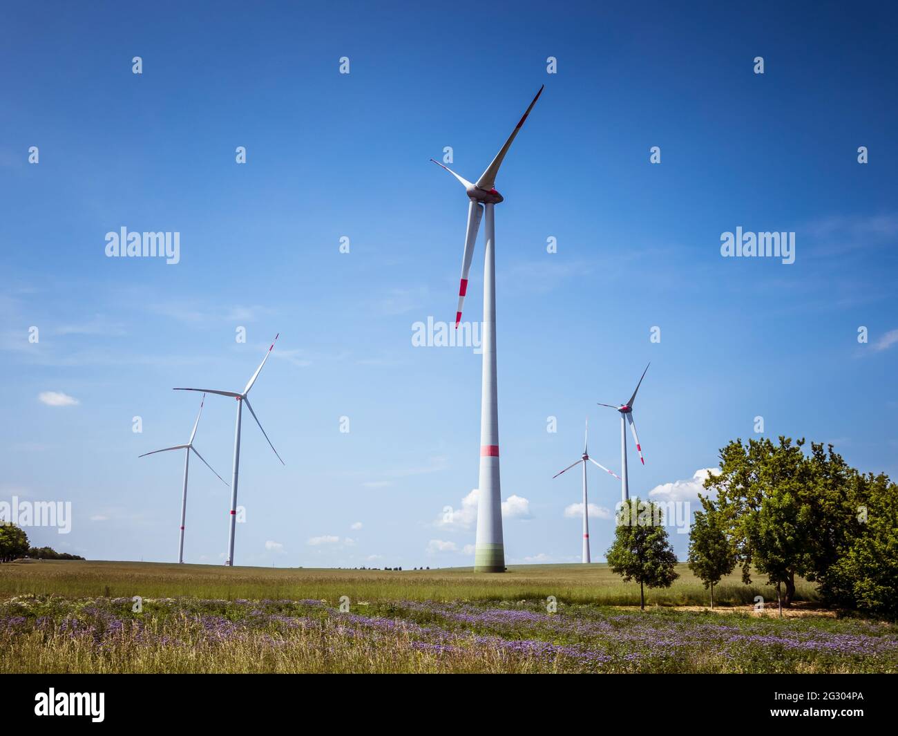 Wind farm with blue sky Stock Photo - Alamy
