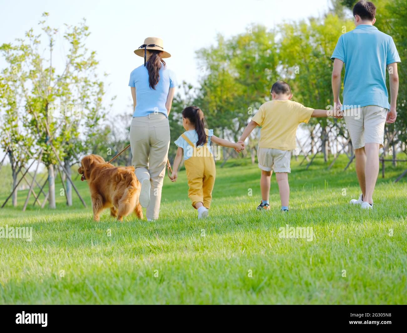 Happy family of four walking dogs in the park high quality photo Stock ...