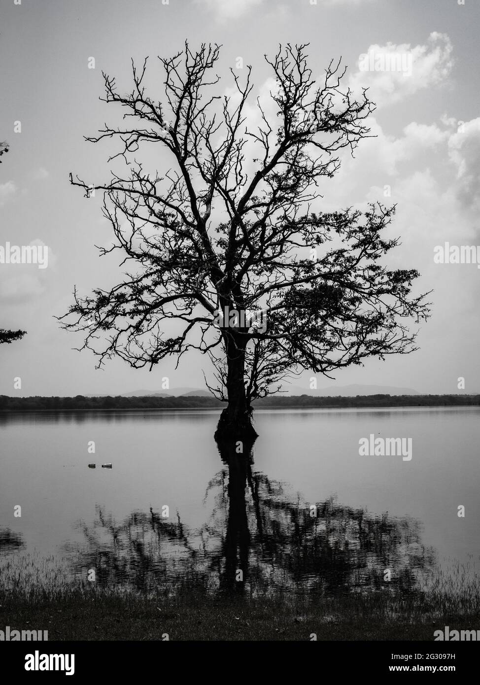 Kala tank hi-res stock photography and images - Alamy