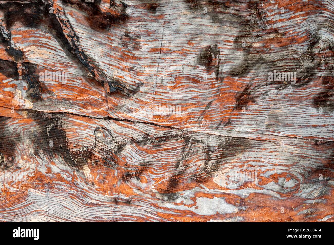 Multicolored red-rose sandstone with signs of weathering and erosion ...