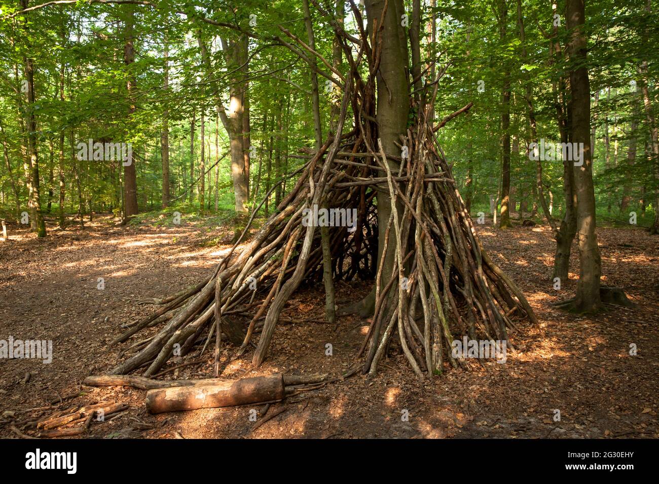 branch hut in the Koenigsforest near Cologne, North Rhine-Westphalia ...