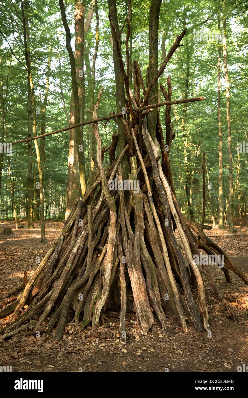 branch hut in the Koenigsforest near Cologne, North Rhine-Westphalia ...
