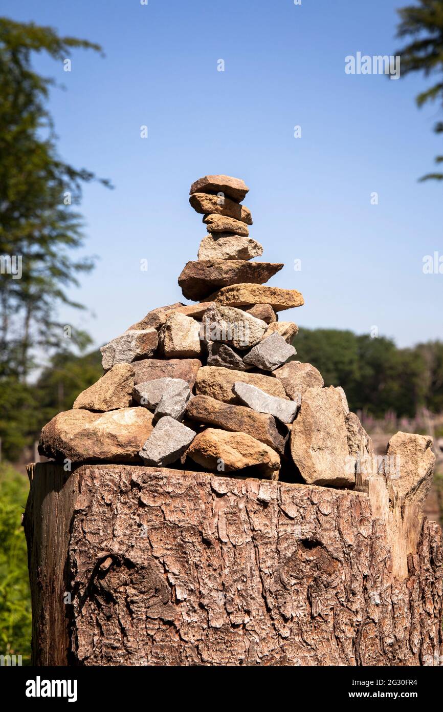small stone pyramid on a tree trunk in the Koenigsforest near Bergisch ...