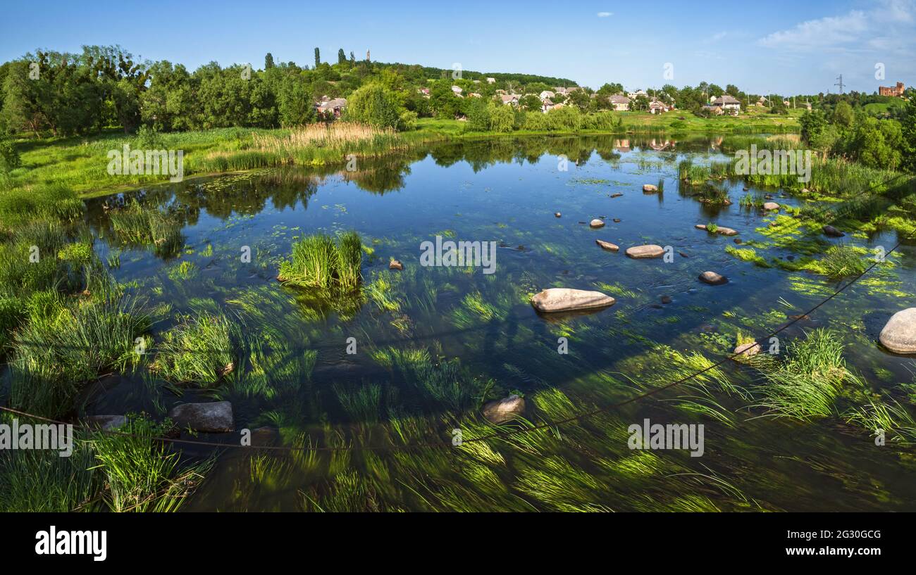 Small picturesque rushy pond on river. Sunny, summer day on Ros river ...
