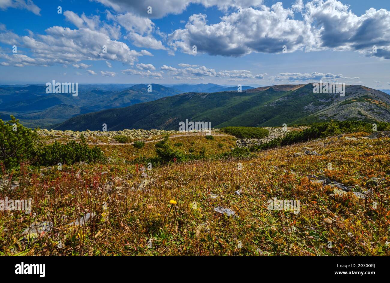 Stony gorgany massif hi-res stock photography and images - Alamy