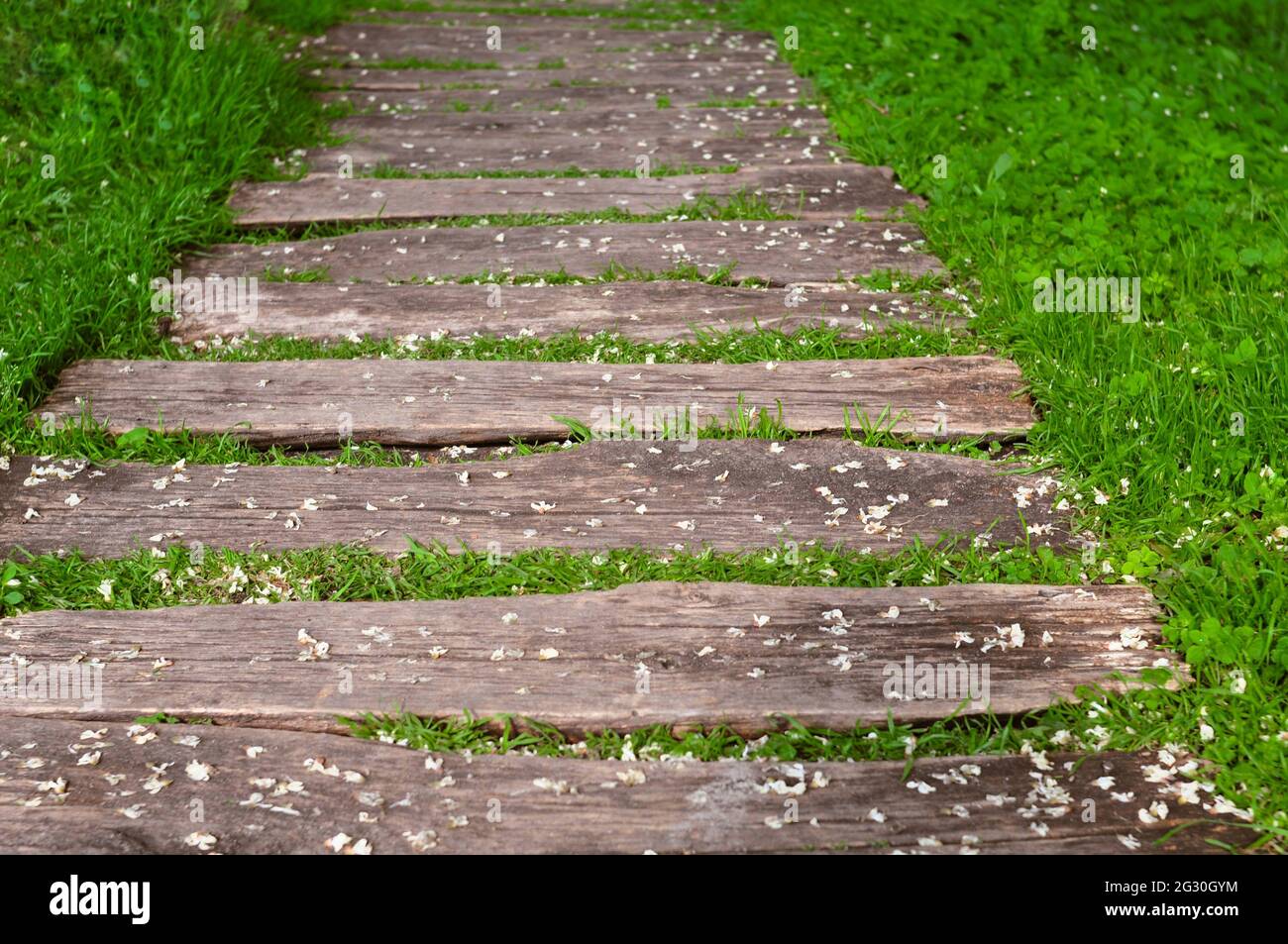Bikeway and footpath hi-res stock photography and images - Alamy