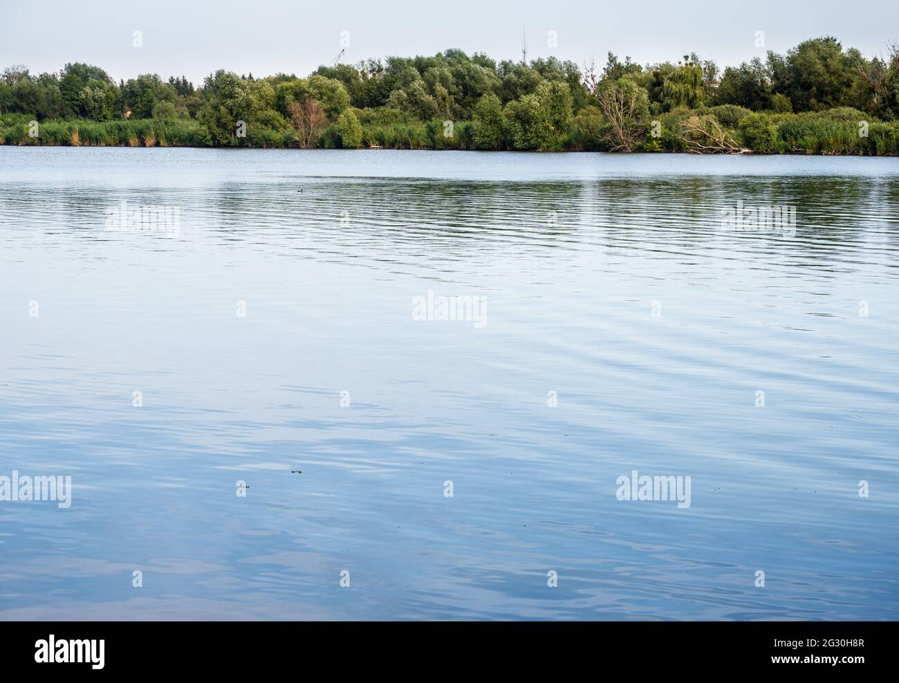 Summer hazy day on picturesque lake Stock Photo - Alamy