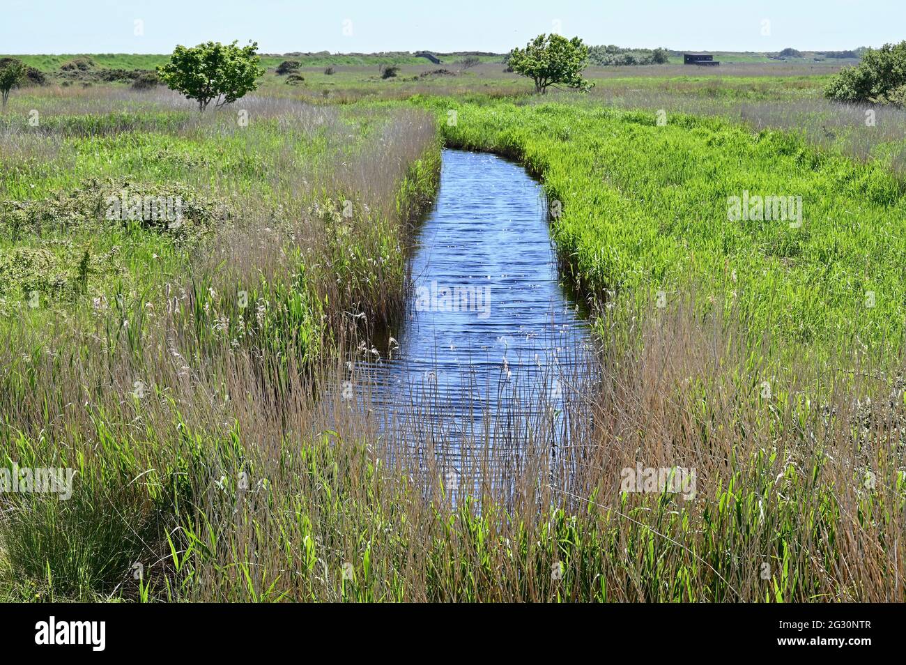 Minsmere nature reserve hi-res stock photography and images - Alamy