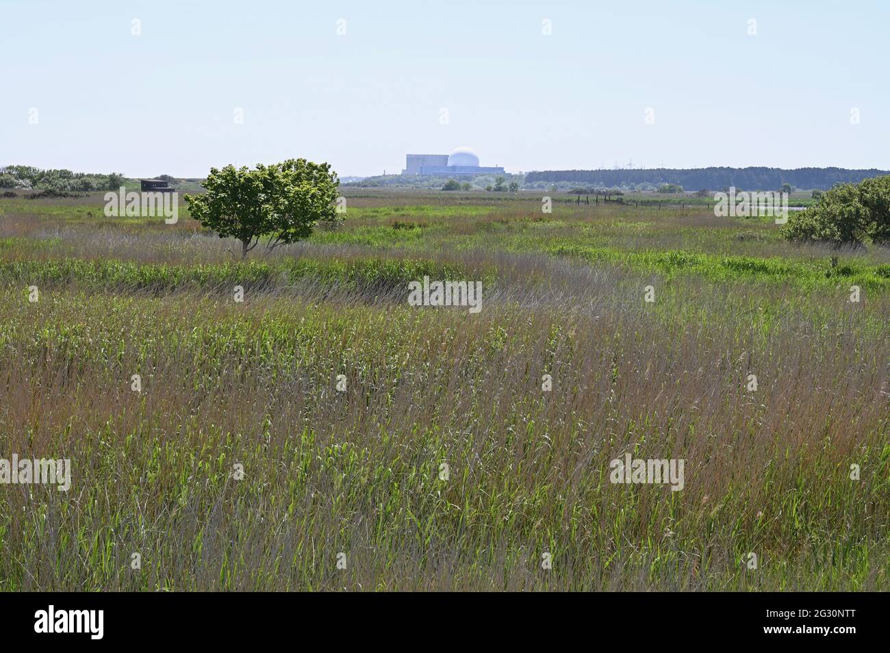 Minsmere nature reserve hi-res stock photography and images - Alamy