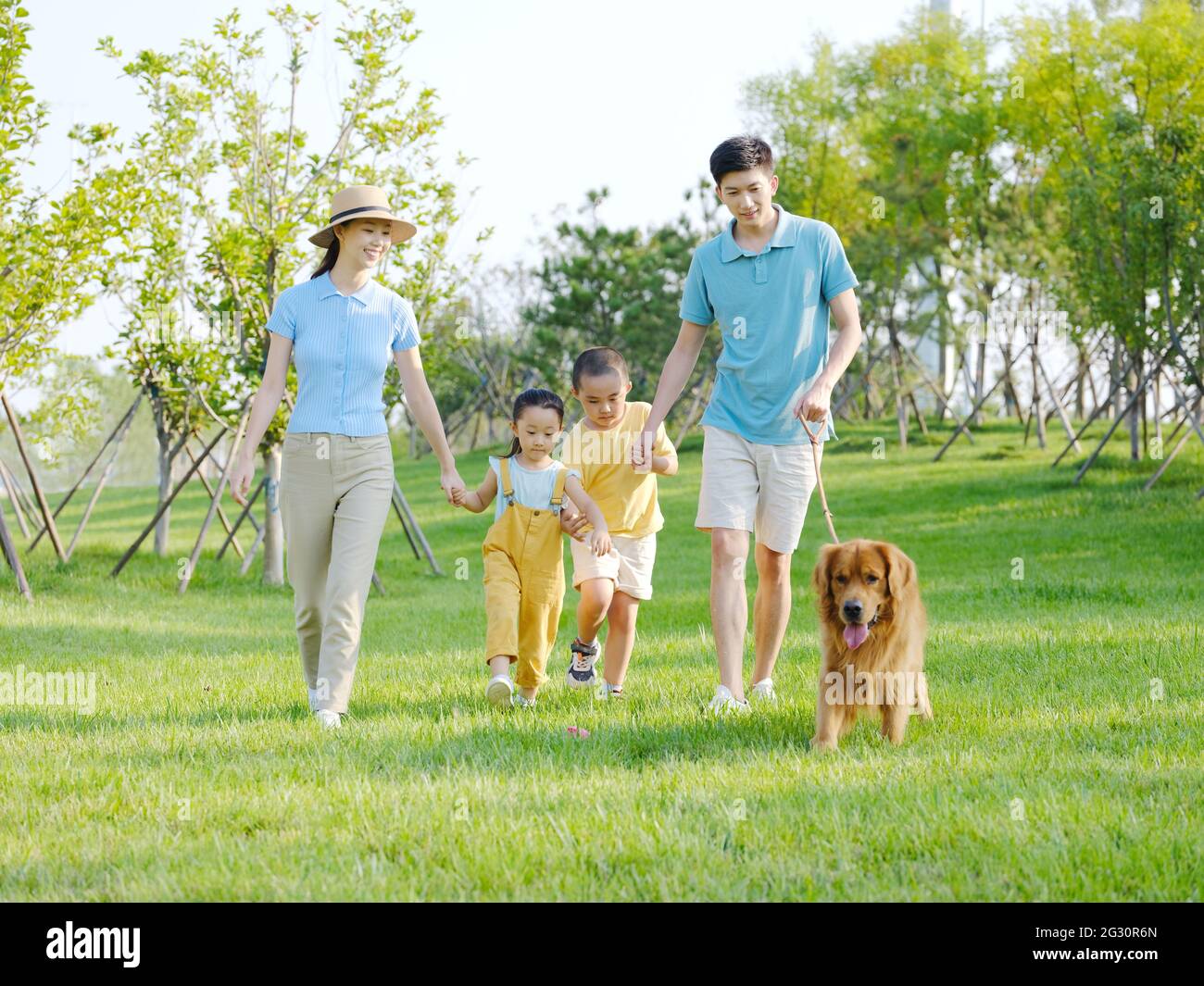 Happy family of four walking dogs in the park high quality photo Stock ...