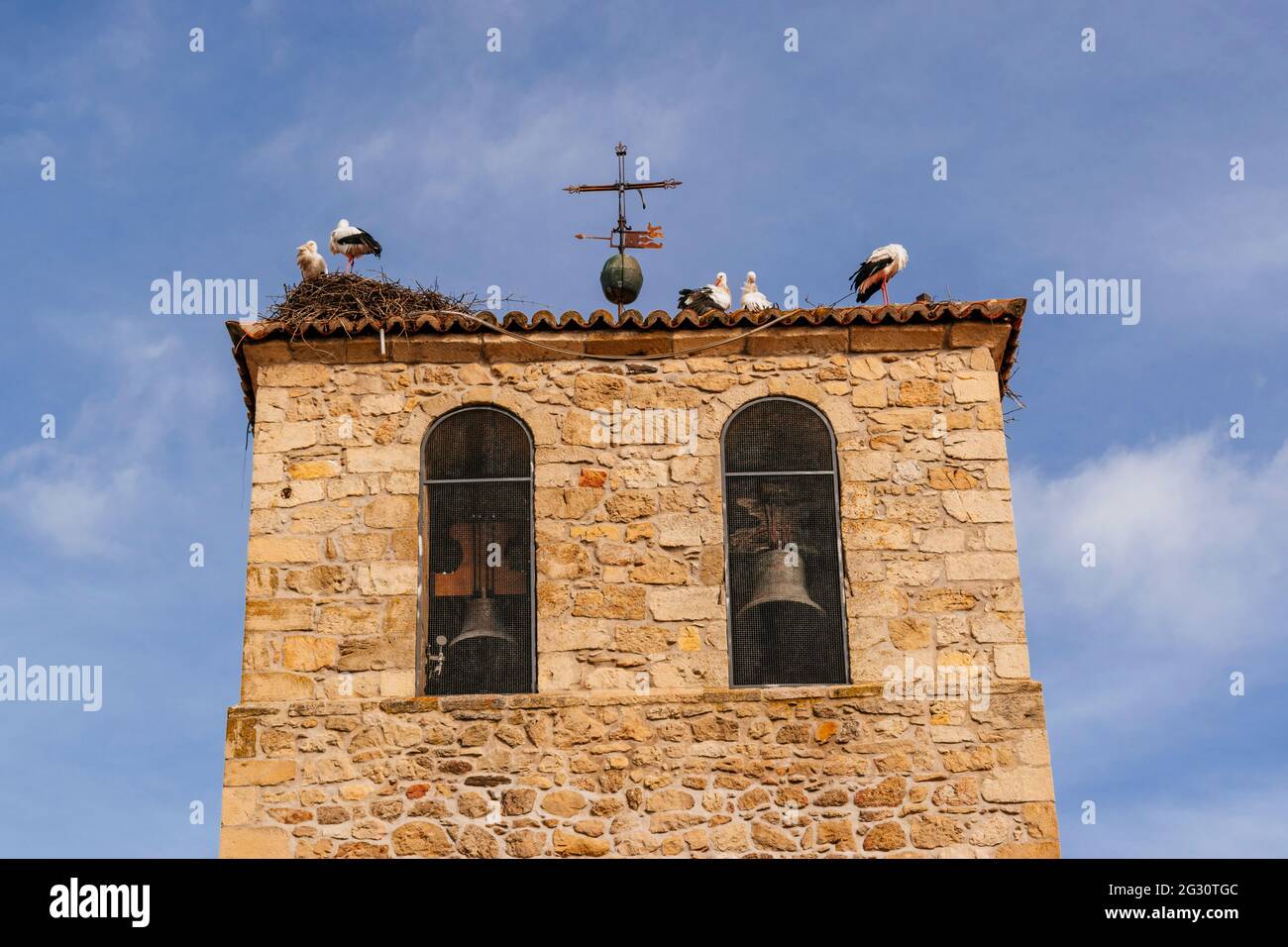 Real stork hi-res stock photography and images - Alamy