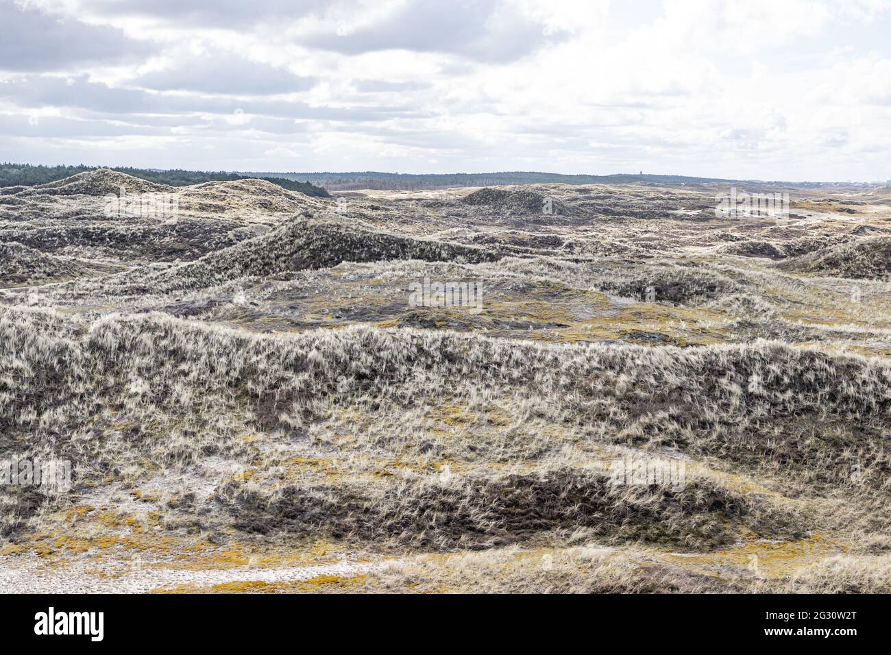 Heather Sand High Resolution Stock Photography and Images - Alamy