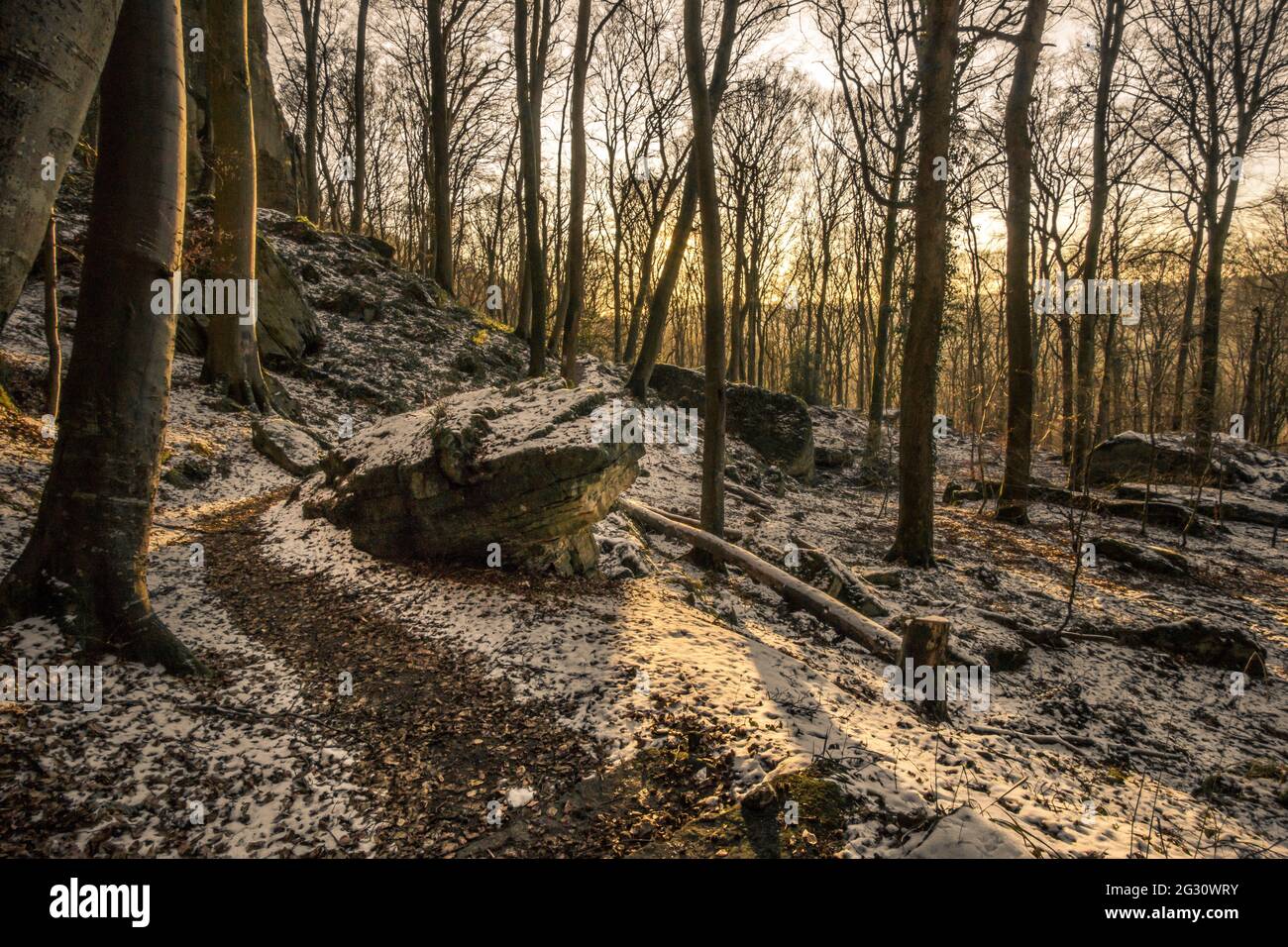 path through winter forest in golden sunlight at evening Mullerthal ...