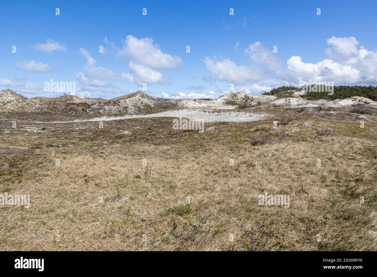 Heather Sand High Resolution Stock Photography and Images - Alamy