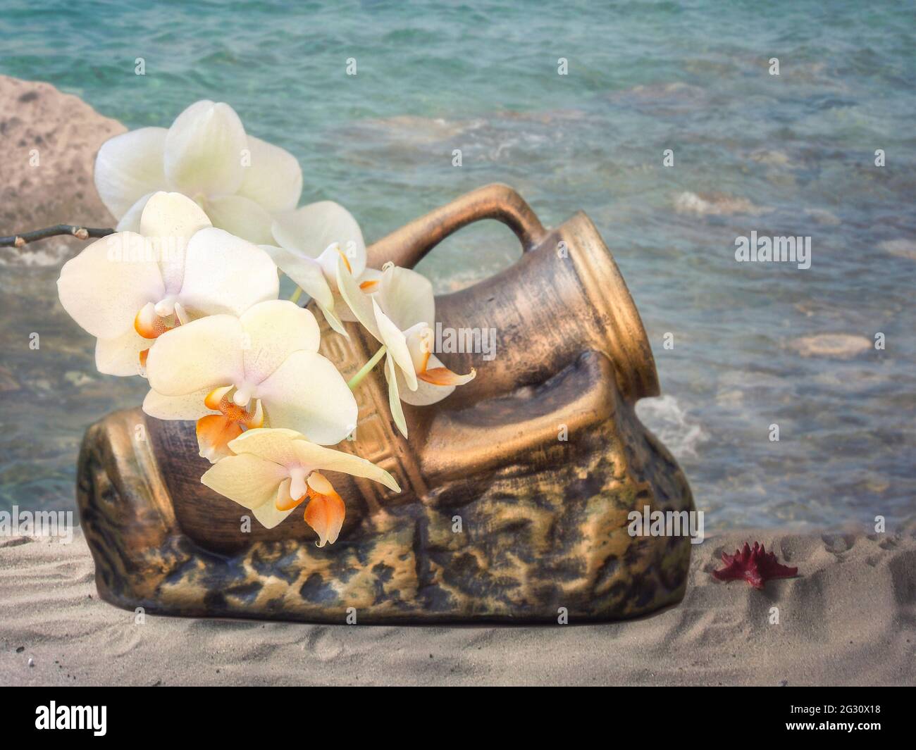 Flowering branch of orchid on the seaside Stock Photo - Alamy
