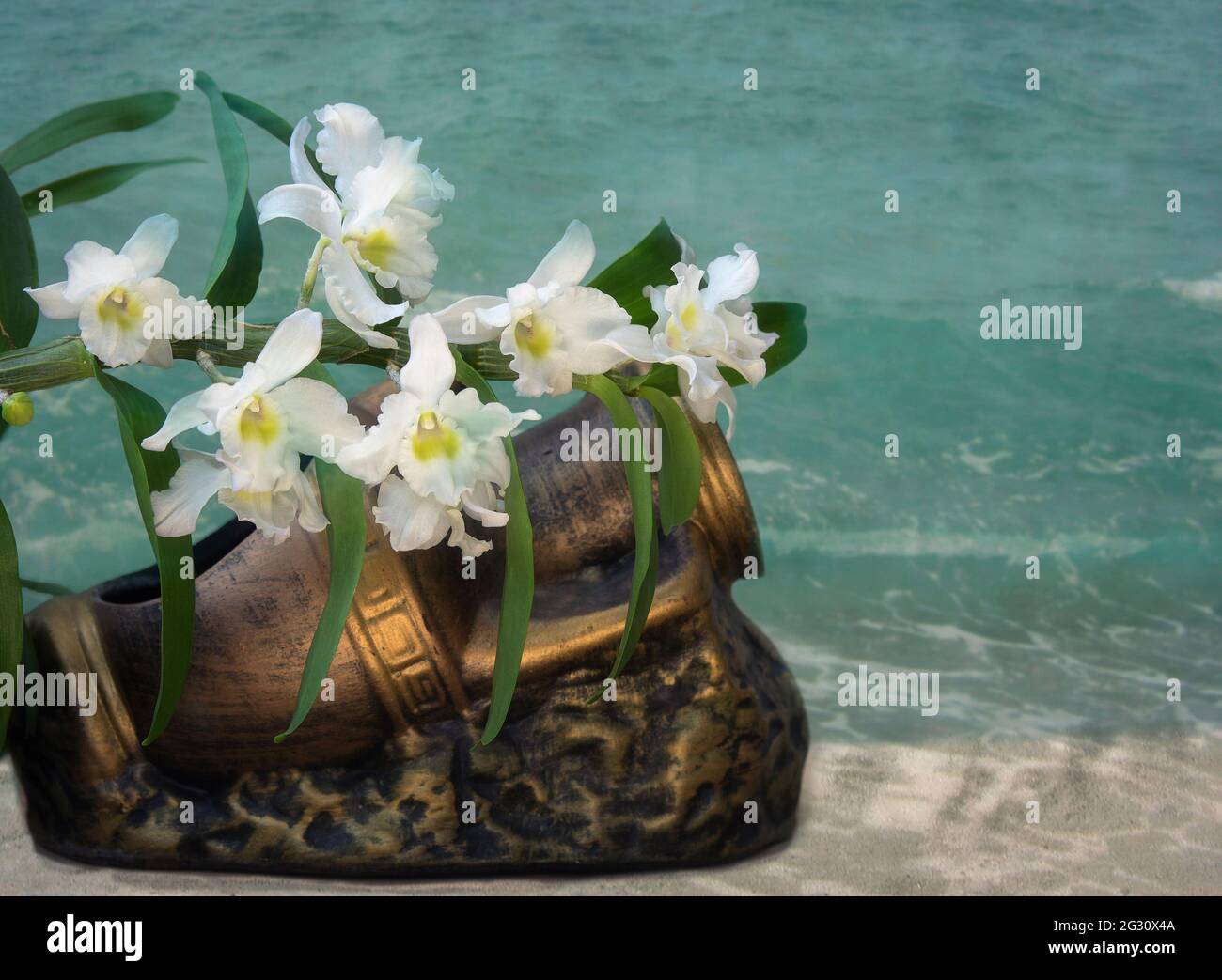 Flowering branch of orchid on the seaside Stock Photo - Alamy
