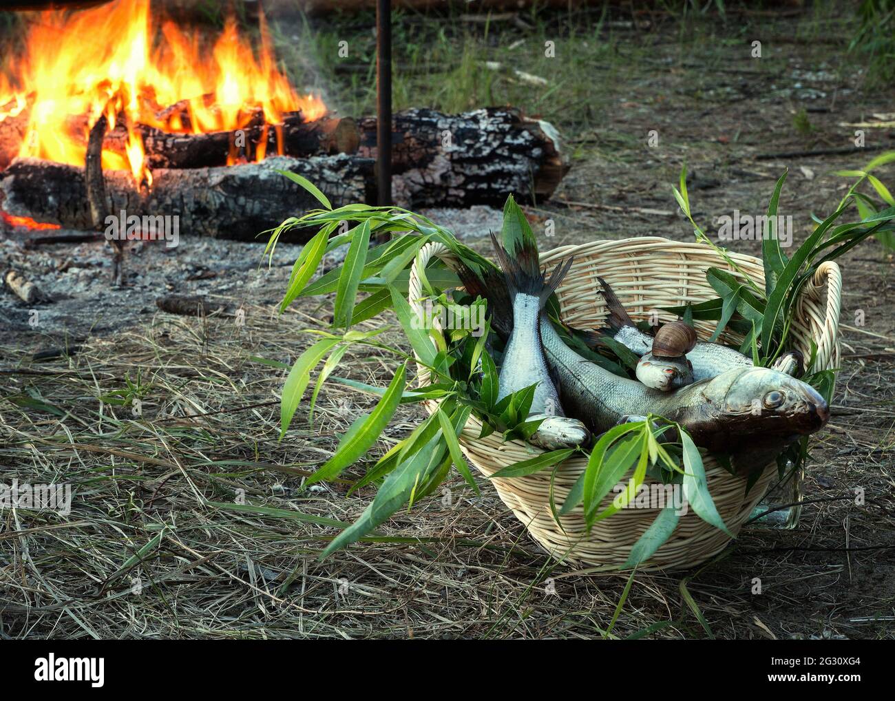 Still life with fish and bonfire Stock Photo - Alamy