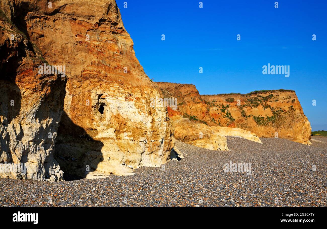 Pleistocene beach hi-res stock photography and images - Alamy