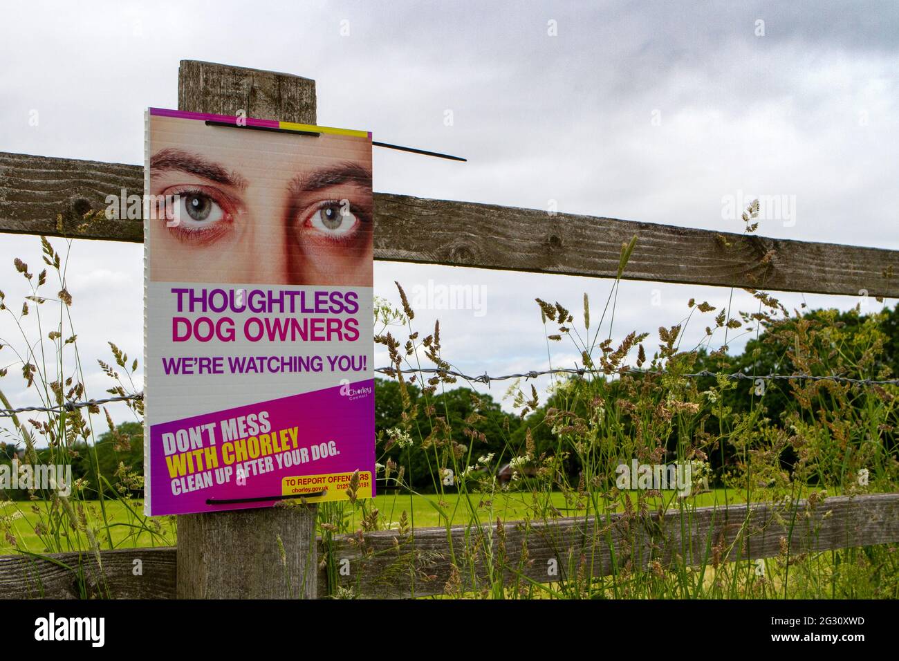 Dog Fouling; Thoughtless dog owners warning sign anti-litter campaign ... Dog Fouling; Thoughtless dog owners warning sign anti-litter campaign ...