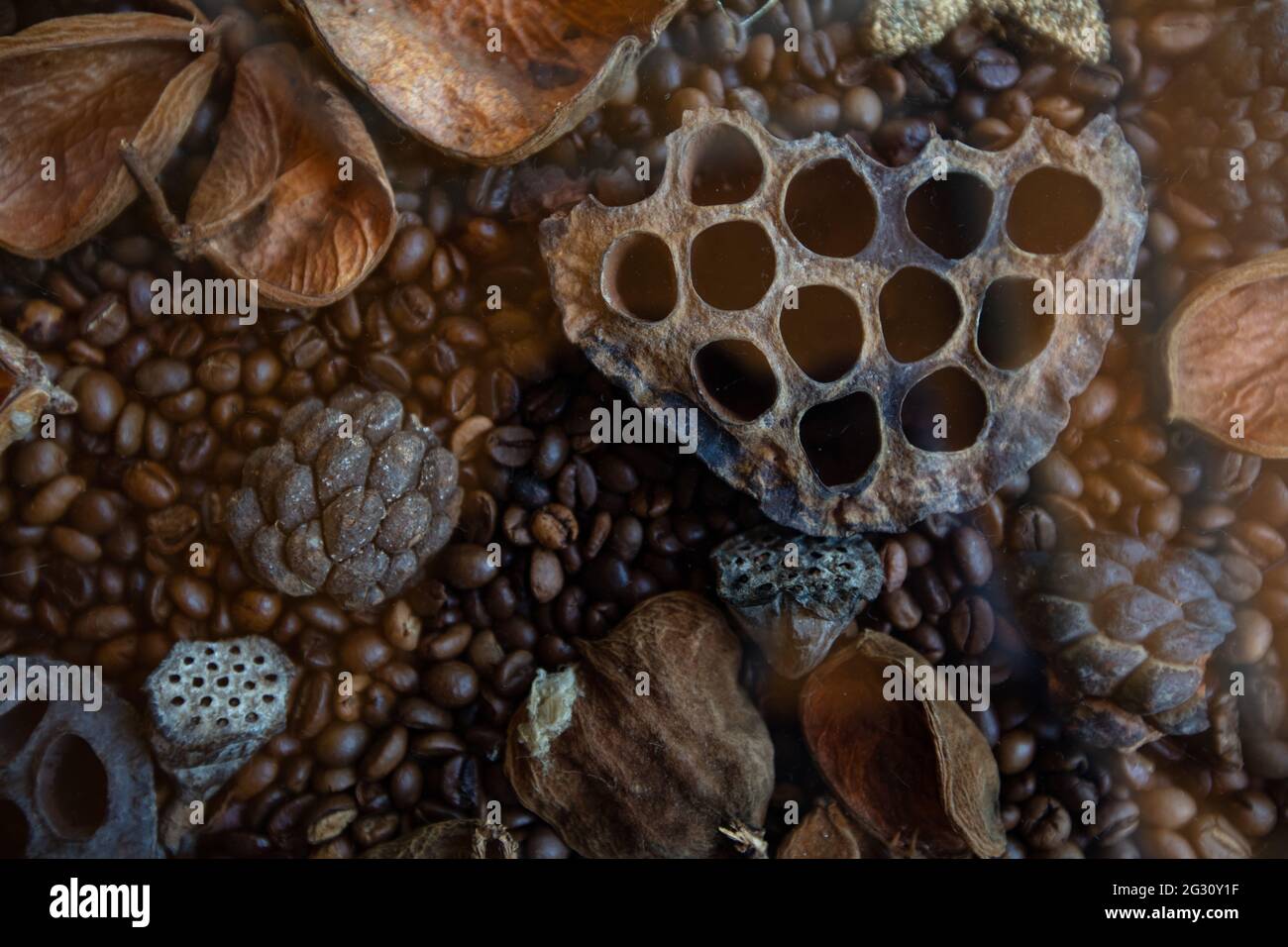 Dried fruits, coffee beans textured patterned background Stock Photo ...