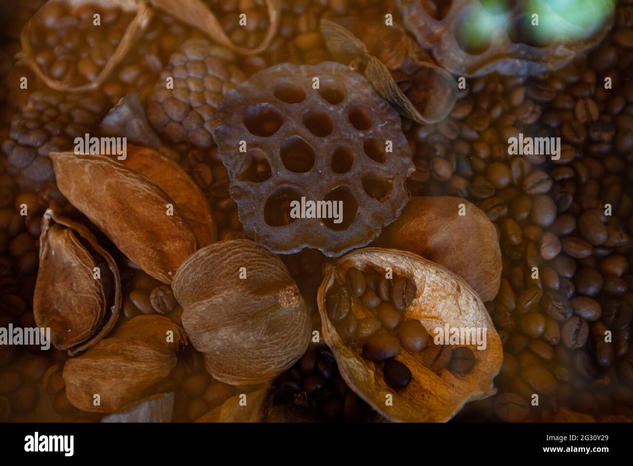 Dried fruits, coffee beans textured patterned background Stock Photo ...