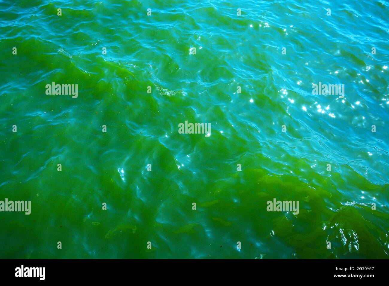 Aerial view of a crystal clear sea water texture. View from above ...