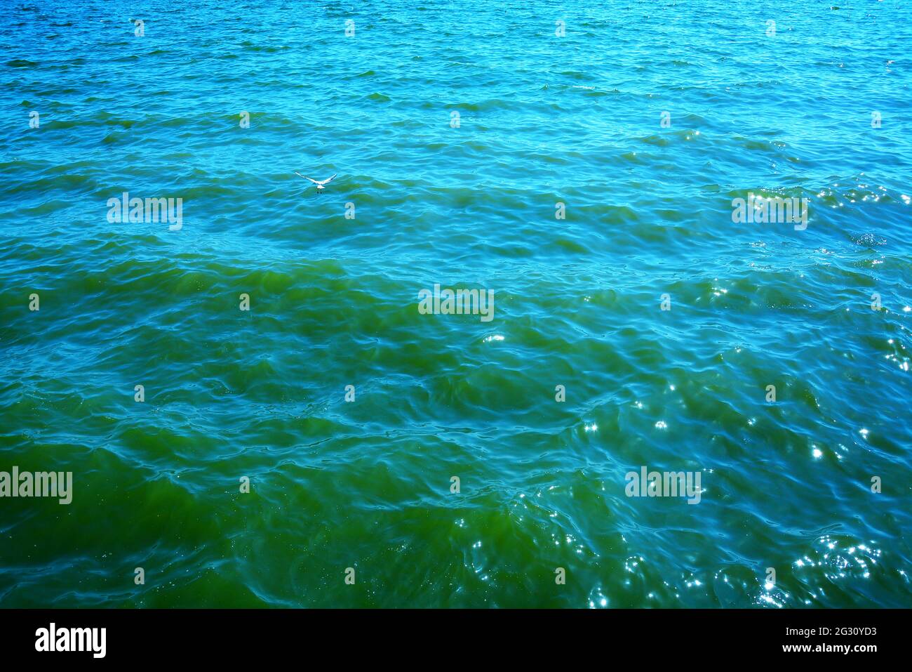 Aerial view of a crystal clear sea water texture. View from above ...