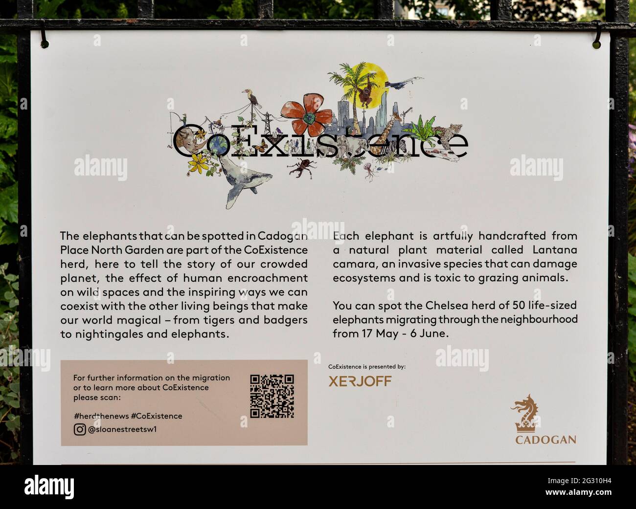 LONDON ENGLAND COEXISTENCE SIGN ABOUT ELEPHANTS MADE FROM LANTANA ...