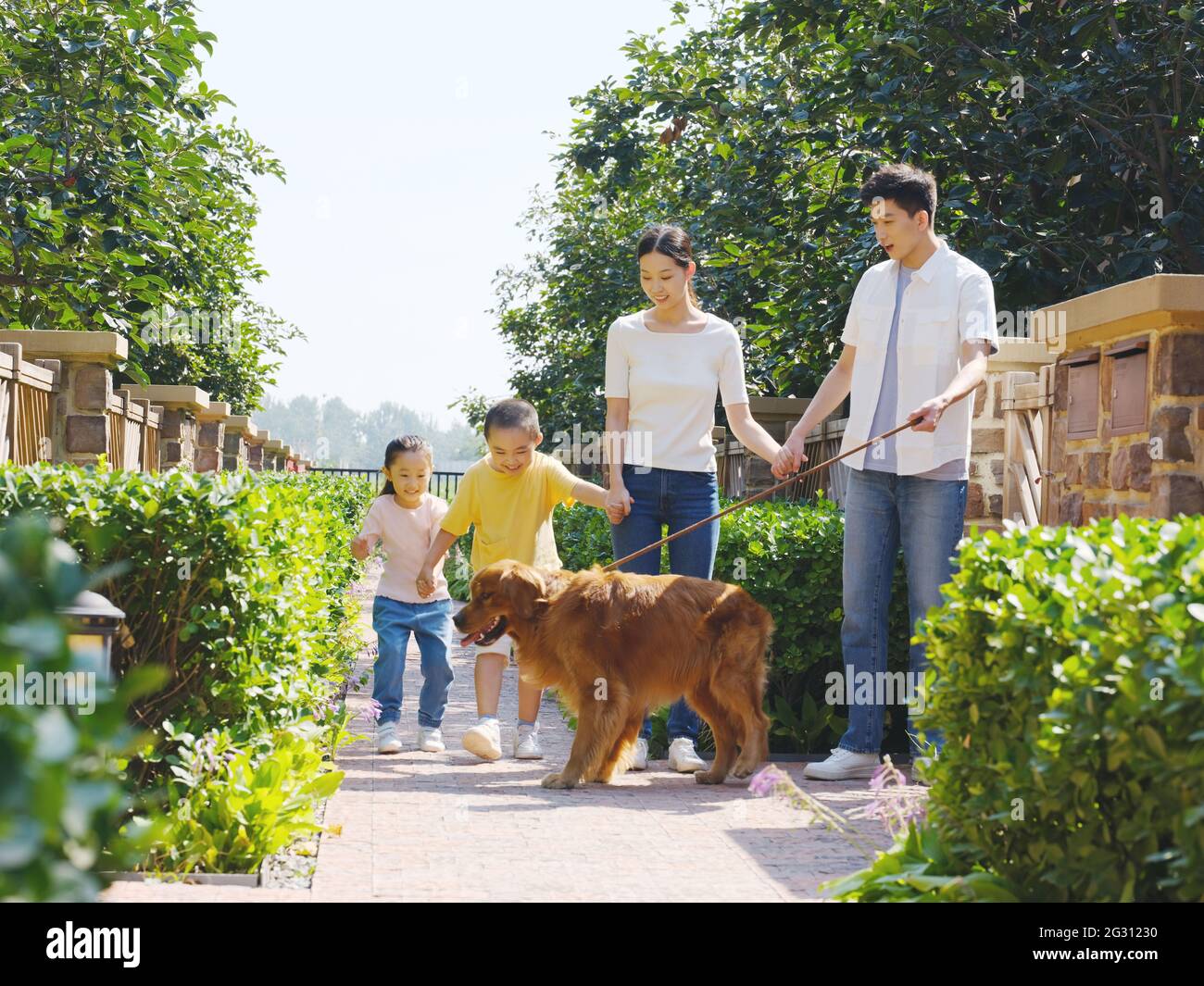Happy family of four walking dogs outdoors high quality photo Stock ...