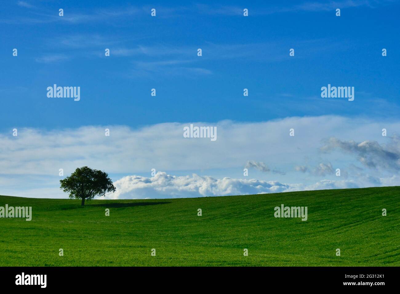 Freen hi-res stock photography and images - Alamy