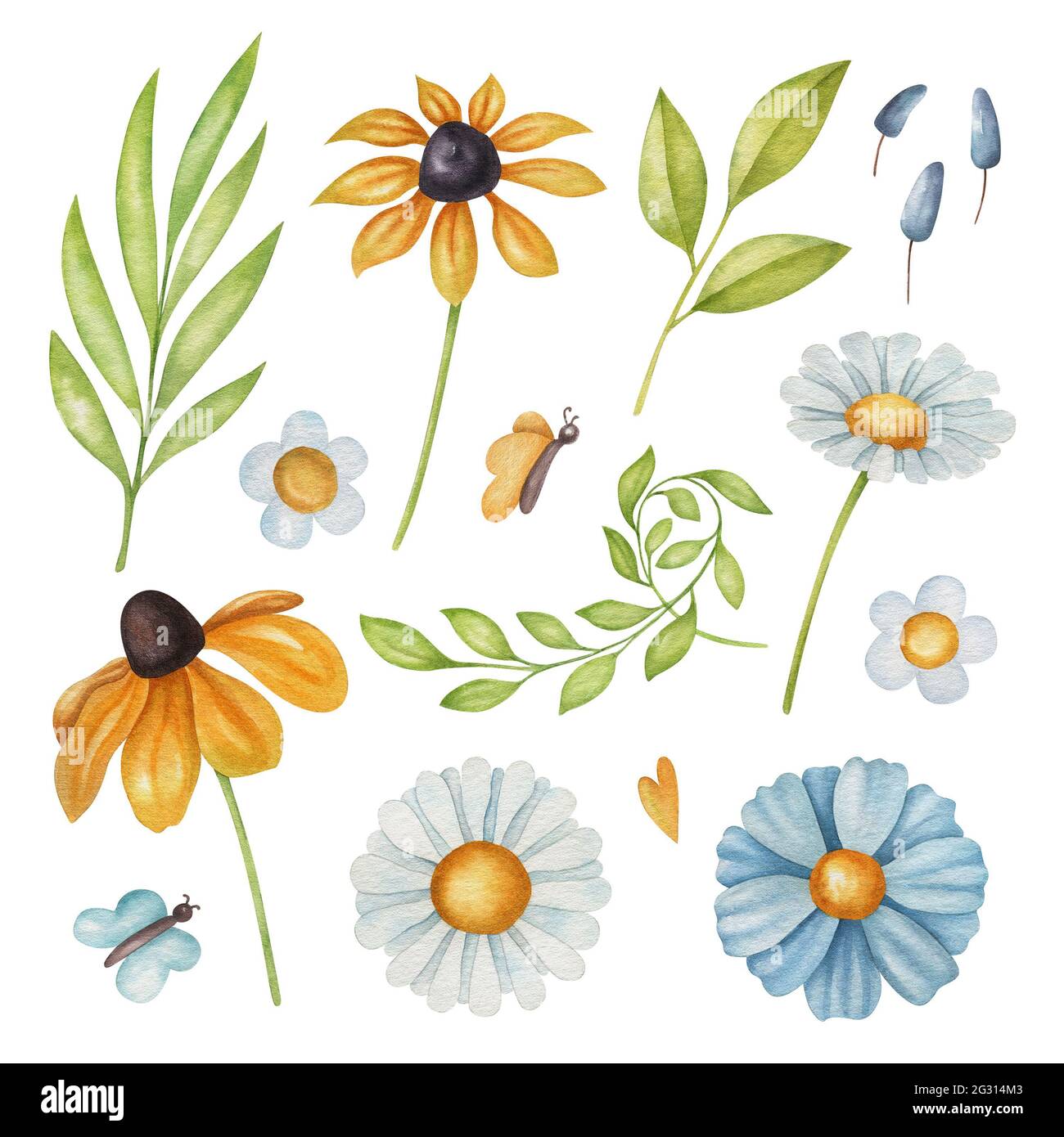 Watercolor set with flowers, butterflies, and leaves. Bright watercolor ...