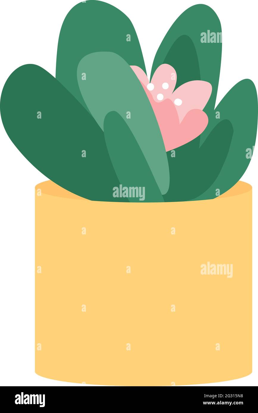 Indoor flower plant succulent semi flat color vector object Stock ...
