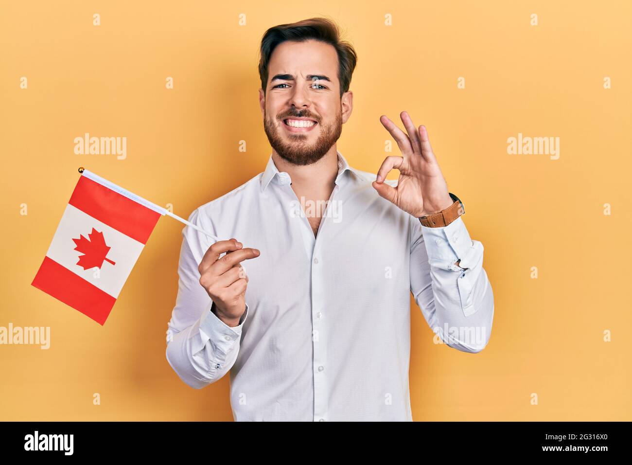 Handsome caucasian man with beard holding canada flag doing ok sign ...