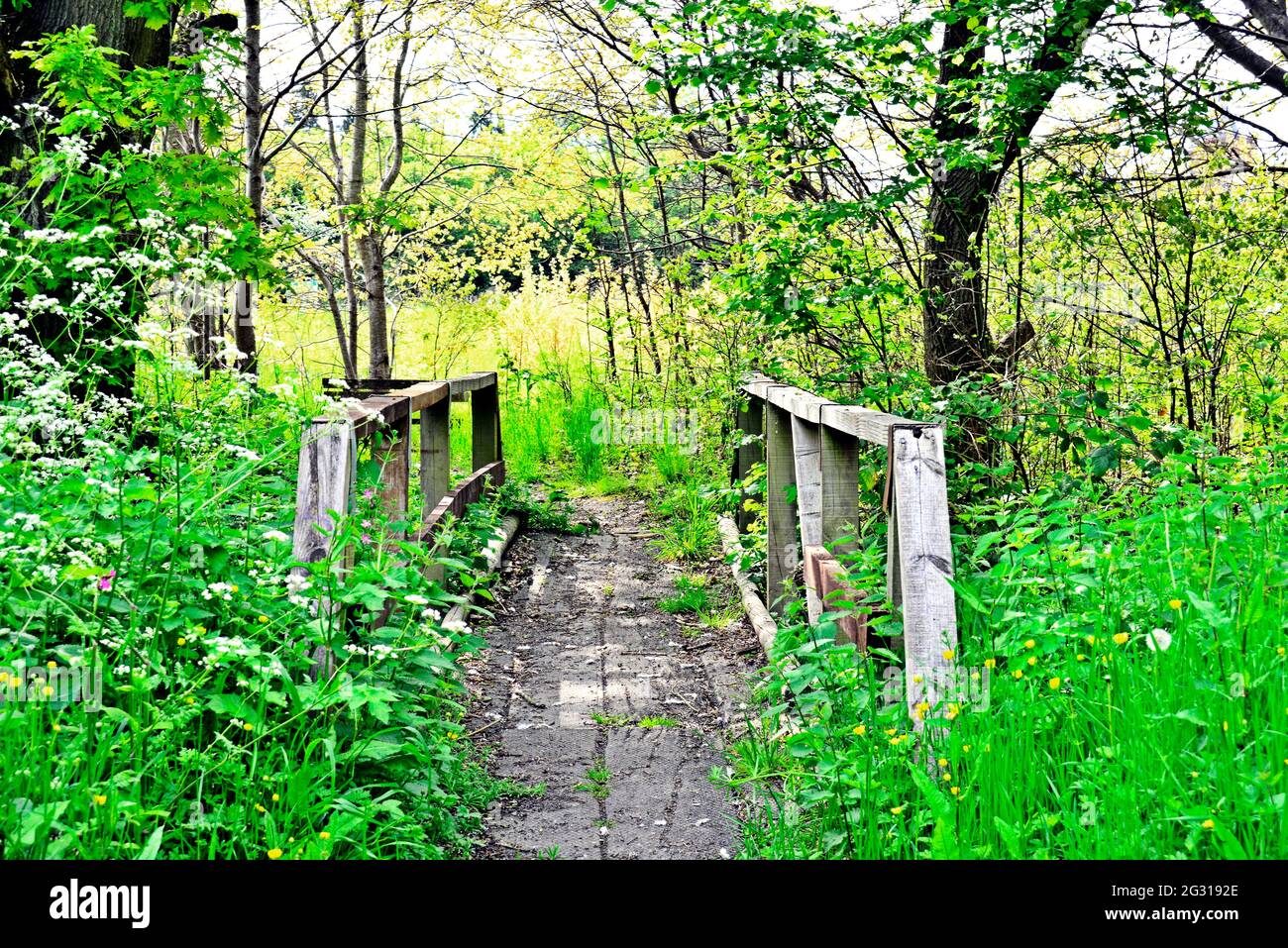 Small wooden bridge Stock Photo - Alamy