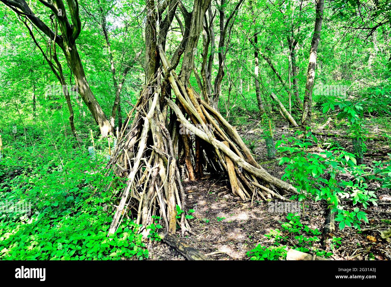 Witch shelter hi-res stock photography and images - Alamy