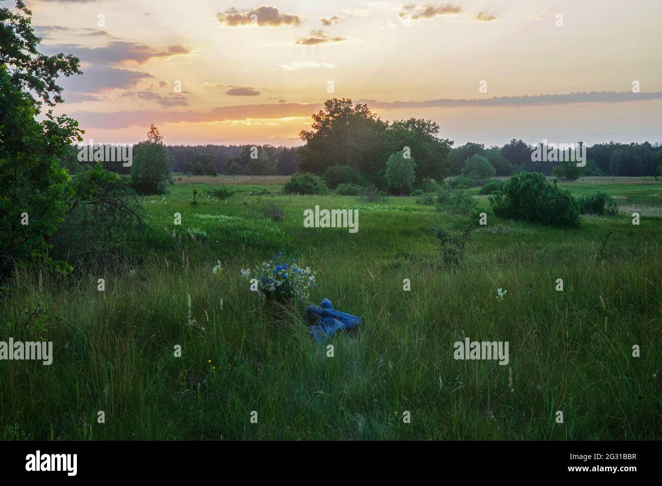 Evening meadow on the Sunset Stock Photo - Alamy