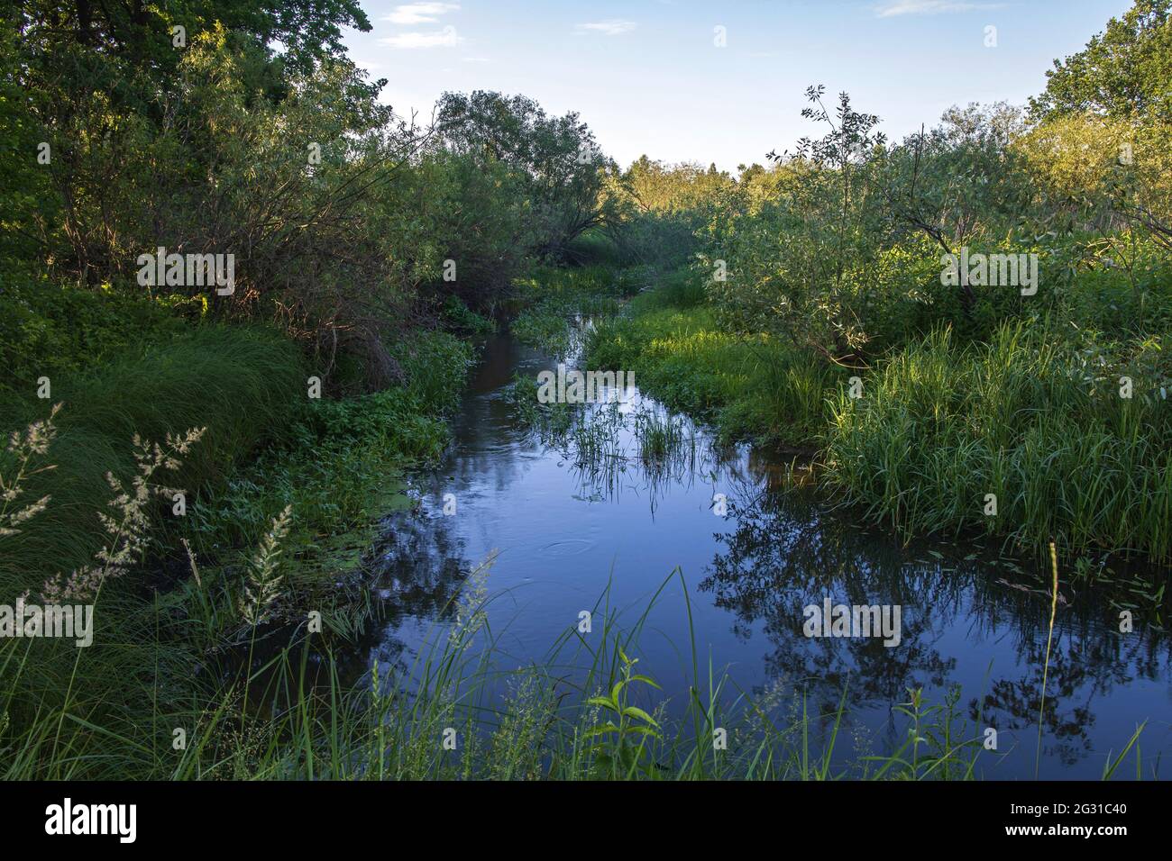 River landscape on the sunrise Stock Photo - Alamy