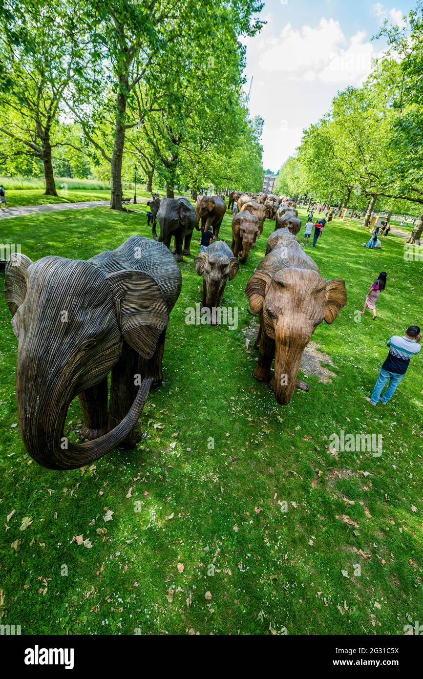 London, UK. 13th June, 2021. The elephant herd heads into Green Park as ...
