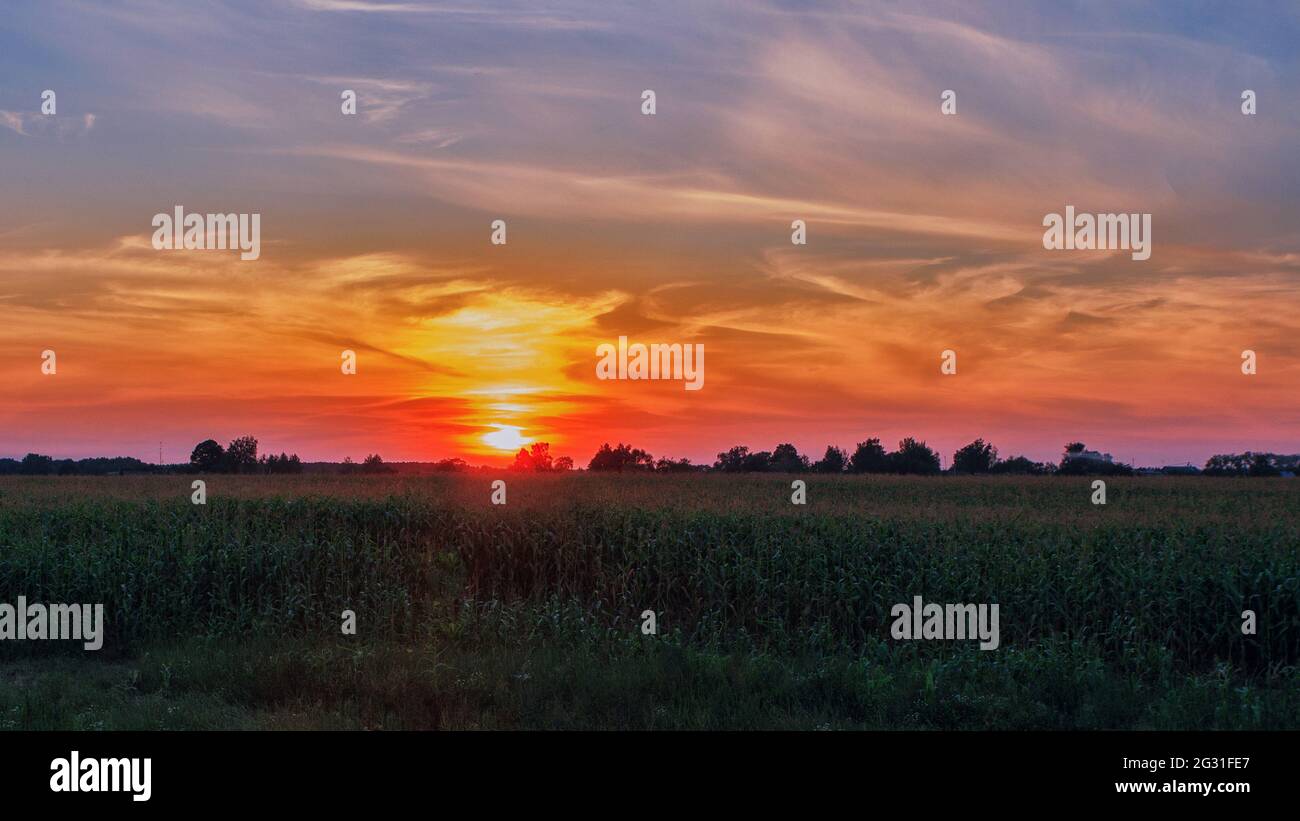 Beautiful summer sunset in the Belarus Stock Photo - Alamy