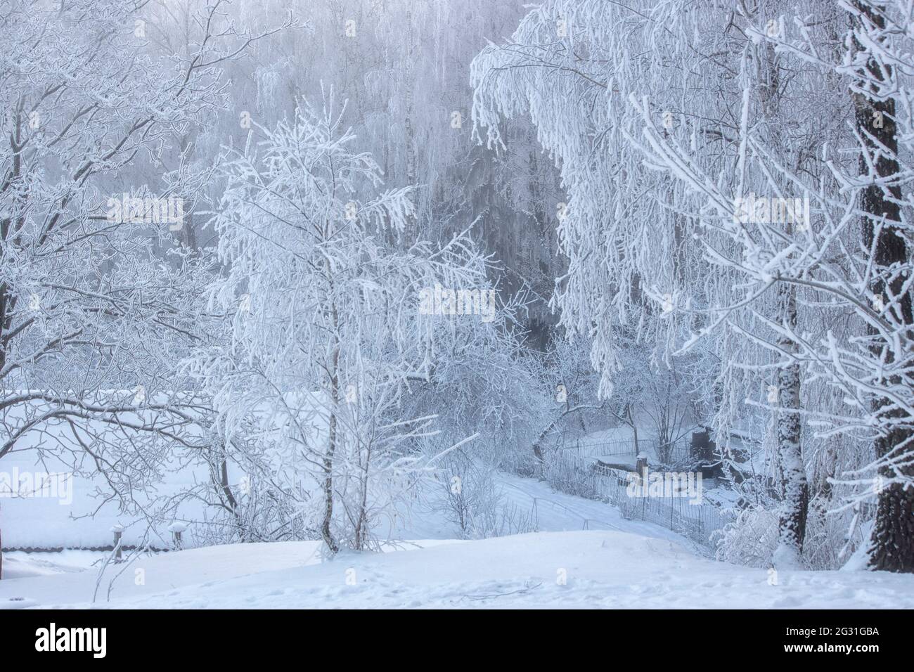 Winter textures hi-res stock photography and images - Alamy