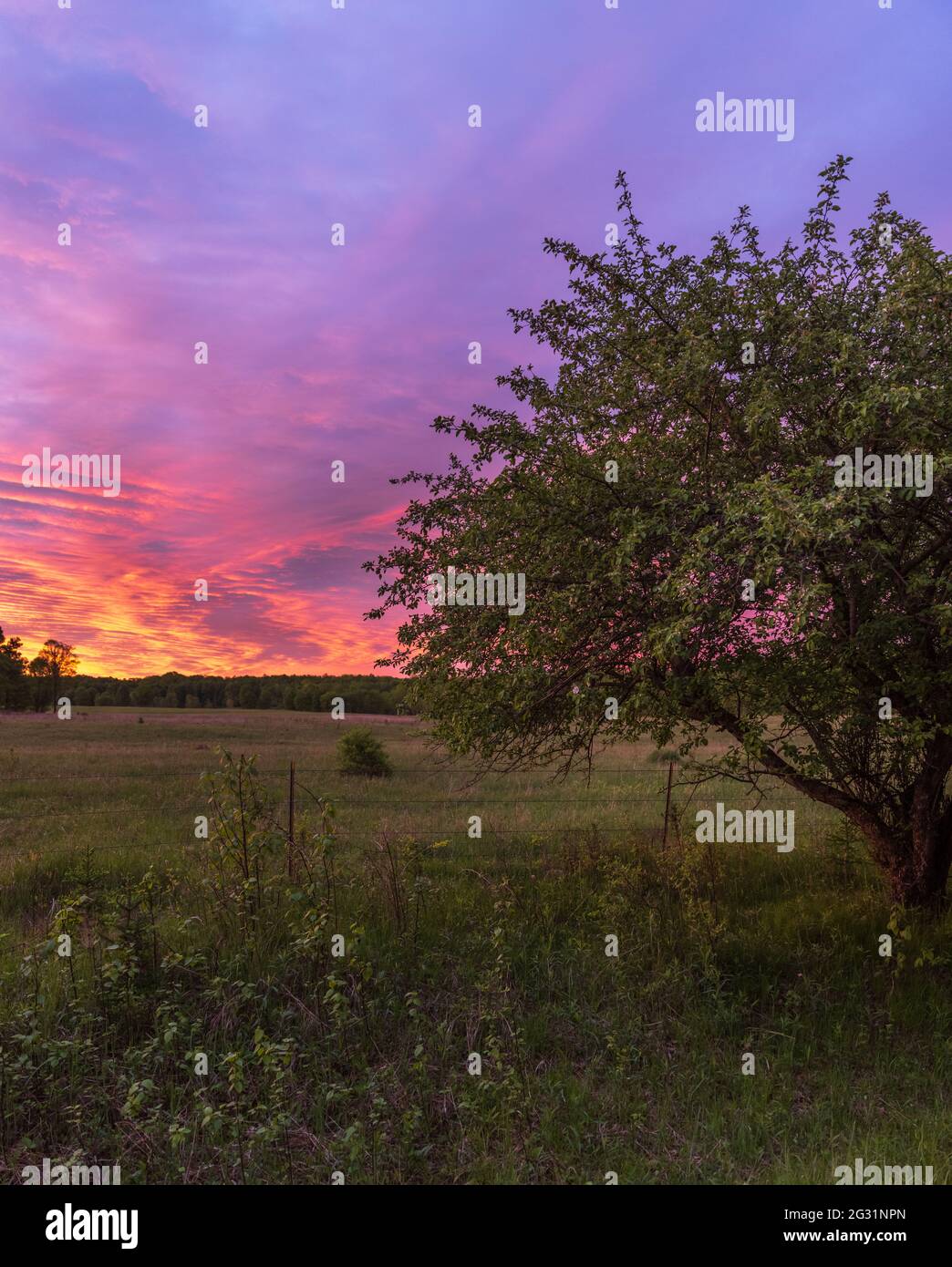 Pretty sunrise over a farmer's field in northern Wisconsin Stock Photo ...