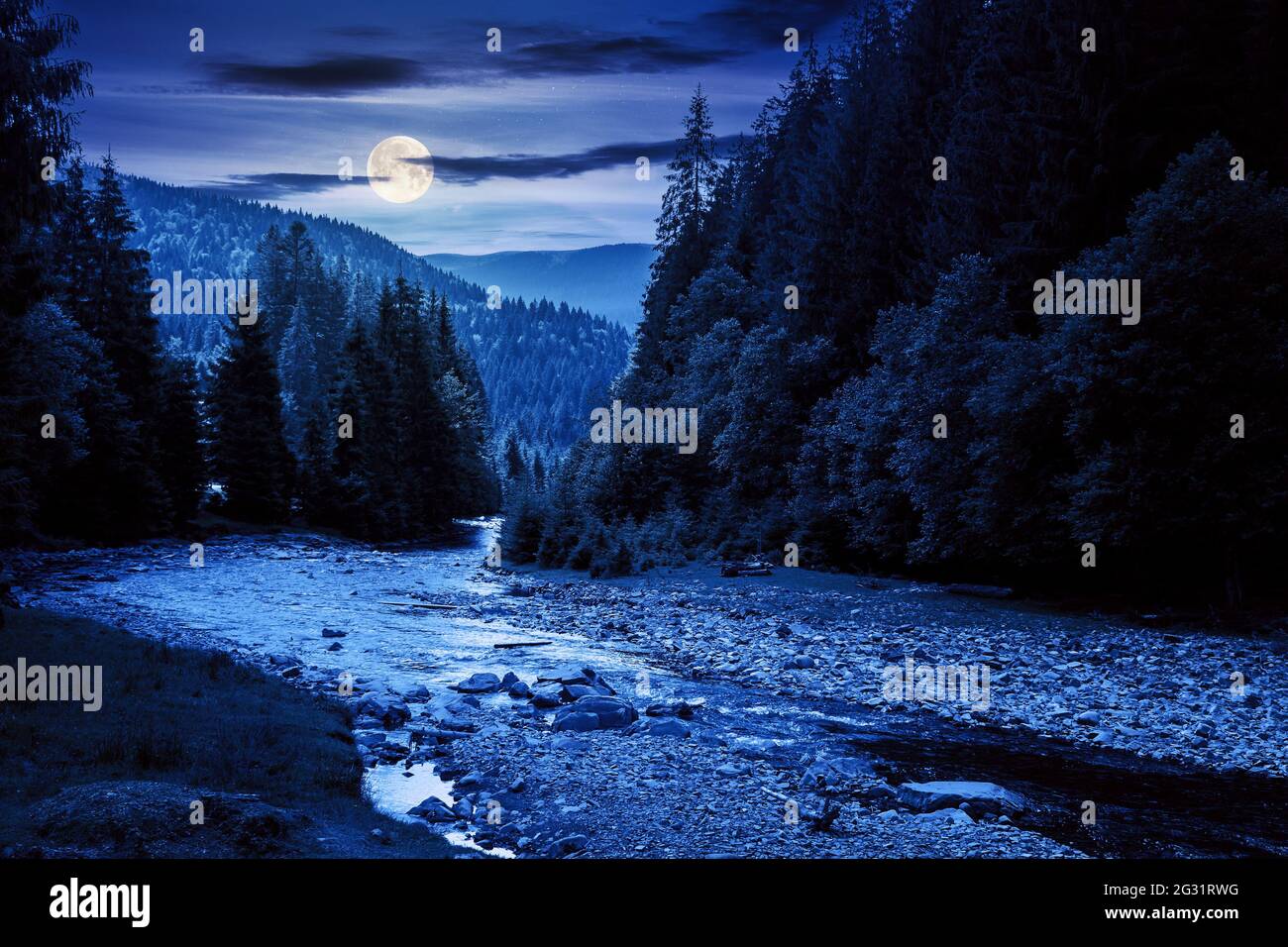 Stream night wood hi-res stock photography and images - Alamy