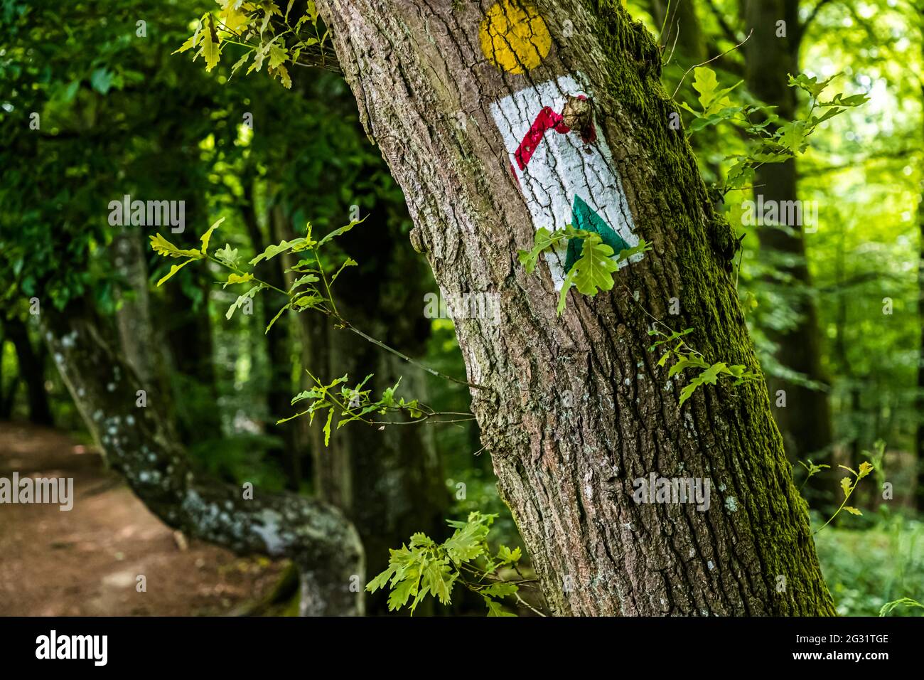 Marked hiking trails in Luxembourg Stock Photo - Alamy